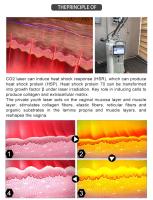 China 60W Fractional CO2 Laser Equipment for Scar Removal and Skin Rejuvenation 10600nm for sale