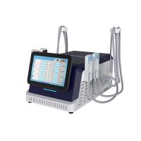 China Portable 2 in 1 Fat Freezing Cryolipolysis Machine with 4 Handles Minus 10 Degree for Salon Cellulite Reduction for sale