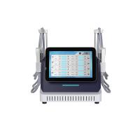 China Portable 2 in 1 Fat Freezing Cryolipolysis Machine with 4 Handles Minus 10 Degree for Salon Cellulite Reduction for sale
