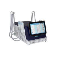 China Portable 2 in 1 Fat Freezing Cryolipolysis Machine with 4 Handles Minus 10 Degree for Salon Cellulite Reduction for sale
