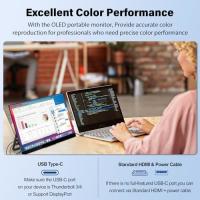 China 14 Inch Portable 4K OLED Monitor High-End 100% 1MS UHD Screen for Laptop PC MAC Phone  Switch USB-C for HDMIinterface for sale