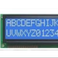 China 2026 Customized 128*64 COG & 16*2 COG LCM Monochrome LCD Modules for Gas & Water Meters Original Design for sale