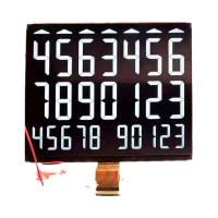 China 2026 Customized Monochrome VA LCD Modules New Customized MONO TN HTN STN FSTN BTN VA LCD MODULE for sale