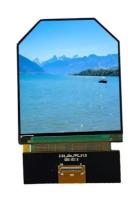 China 2026 Wholesale 2.54 Inch 1440x1600 High Resolution MIPI DSI TFT Display Driver IC NT57860 Clear LCD Modules for Plants for sale