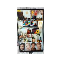 China Factory Priced 10.1 Inch High Brightness TFT MIPI DISPLAY DRIVER IC JD9365AA LCD Modules with 800*1280 LED Backlight for sale