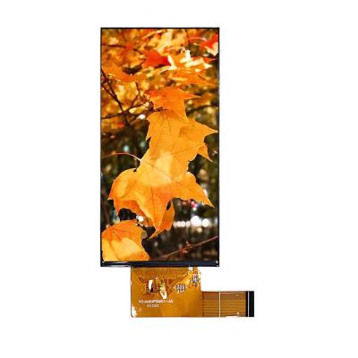 China BXDISPLAY High Resolution 5.99 Inch TFT LCD Display Module Full View IPS Panel 1080x2160 500cd/m2 Brightness RGB Mipi Interfaces for sale