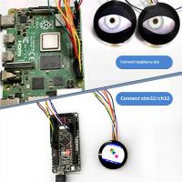 China 0.99 Inch IPS Full View TFT LCD Screen Module with RGB EDP MIPi Interfaces SPI Serial Port Round Screen Color Display for sale