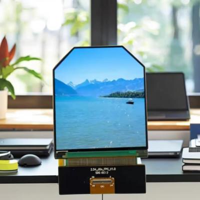 China China Manufacture Quality Hot Sale 2.54 Inch 1440x1600 Clear High Resolution MIPI DSI TFT Display Driver IC NT57860 New LCD for sale