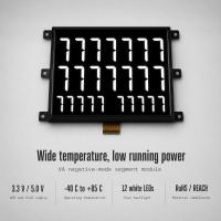 China Fuel Dispenser Dedicated LCD Display Module VA Negative Mode Segment Panel 24 Digit for Petrol Pump for sale