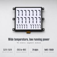 China Self Service Fuel Station Dedicated LCD Display Module 24 Digit Segment Panel for Fuel Management System for sale