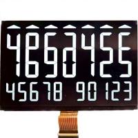China Industrial Wide Temperature -40C to 80C Monochrome LCD Module PIN FPC for EV Charging Station for sale
