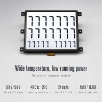 China Fuel Dispenser Display Module LCM TN Static Segment Panel 24 Digit Wide Temperature for Gas Station Pump for sale