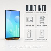 China 10.1 Inch In-Cell Capacitive Touch TFT LCD Display Panel for sale