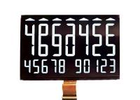 China Industrial Wide Temperature -40C to 80C Monochrome LCD Module PIN FPC for EV Charging Station for sale