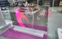 China Transparent OLED for sale
