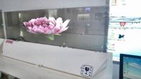 China 49.5 Inch OLED Transparent Bar Display for sale