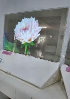 China 30 Inch OLED Transparent Display for sale