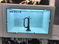 China 32-inch showcase in the Jinxiao Detachment Memorial Hall of East Zhejiang for sale