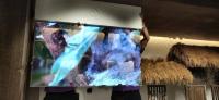 China Nantong City Qunying Pavilion 55-inch Transparent OLED Project for sale
