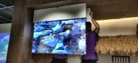 China Nantong City Qunying Pavilion 55-inch Transparent OLED Project for sale