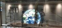 China 55-inch 2×3 transparent OLED in Beijing Science City Future Park for sale