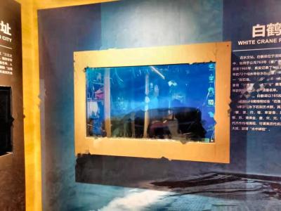 China 55-inch transparent screen in Chongqing Exhibition Hall for sale