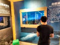 China 55-inch transparent screen in Chongqing Exhibition Hall for sale