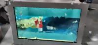 China 32 inch transparent showcase for sale