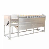 China Full Automatic Potato Chips Line 45KW Stainless Steel French Fries Processing Machine 380V for sale