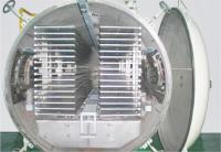 China ANXU Industrial Food Freeze Drying Machine 16KW 200kg Capacity with PLC Control for Fruits & Vegetables for sale