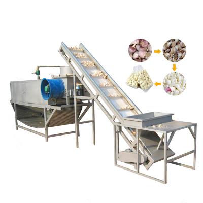 China ANXU Automatic Stainless Steel Fruit Vegetable Processing Machine 300-1000kg/h Capacity 120mm Belt for sale