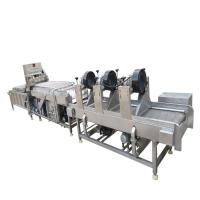 China ANXU Customized Fruit Vegetable Washing Machine with 300-1000kg/h Capacity and 380V Voltage for Industrial Use for sale