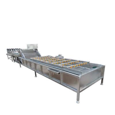 China ANXU Customized Fruit Vegetable Washing Machine with 300-1000kg/h Capacity and 380V Voltage for Industrial Use for sale