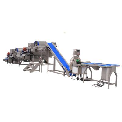 China ANXU Electric Fruit Vegetable Processing Machine 300-1000kg/h Capacity 380V Industrial Food Cutter for sale