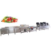 China ANXU Automatic Vegetable Washing Machine 300-1000kg/h Capacity with 380V Power for Industrial Food Processing for sale
