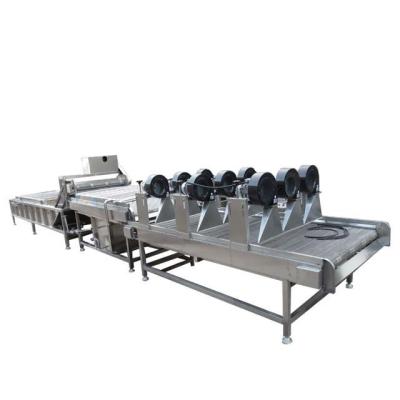 China ANXU 400KG Automatic Fruit Vegetable Processing Machine with 300-1000kg/h Capacity and 120mm Mesh Belt for sale