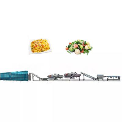 China ANXU High Efficiency Vegetable Processing Line 300-1000kg/h Capacity with 120mm Mesh Belt for Celery Cabbage for sale