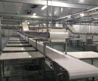 China ANXU ISO9001 CE Automatic Poultry Slaughtering Line 10-400 Heads Capacity 7.5KW 220V/380V for sale