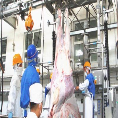 China 7.5KW Automatic Cow Slaughtering Machine with 10-400 Heads Capacity and Stainless Steel 304 Construction for sale