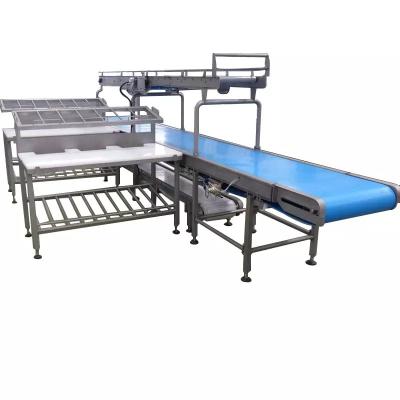 China ANXU 304 Stainless Steel Slaughterhouse Cow Machine 2480×1340×1480mm 7.5KW Automatic Processing Equipment for sale