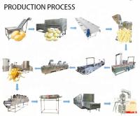 China Industrial French Fries Production Line 500kg/h Potato Chips Making Machine SUS304 Continuous Frying for sale