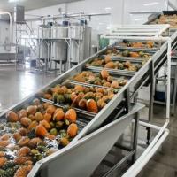 China Full Automatic Fruit Juice Filling Production Line 75kW 380V for Pineapple Concentrate Pulp Jam Processing for sale