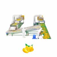 China Industrial Fruit Juice Processing Line with 75kW Motor and 380V Power for Apple, Mango Pulp Production for sale