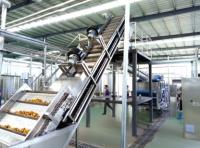 China Professional Pineapple Juice Production Line 2000KG Capacity 75KW 380V Industrial Equipment for sale