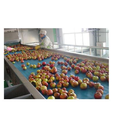 China Fully Automatic Vegetable Juice Processing Unit 75kW 380V Stainless Steel Industrial Equipment 15000×1000×900mm for sale