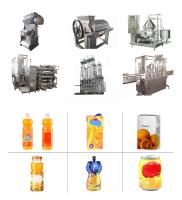 China Fully Automatic Vegetable Juice Processing Unit 75kW 380V Stainless Steel Industrial Equipment 15000×1000×900mm for sale