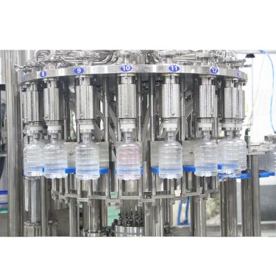 China Professional Mini Meatball Ball Fish Ball Forming Machine Stainless Steel 220V Automatic Production Line for sale