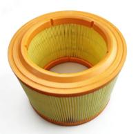 China Factory ADP152224 Engine Air Filter Element Blue Print OE Replacement CA5456 for sale
