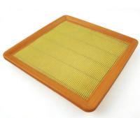 China Manufacturer Engine Air Filter Element Filtron AP 144/6 P OEM Services for sale