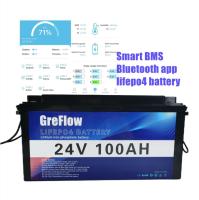 China Smart BMS Bluetooth App Energy Power Deep Cycle Lifepo4 Marine Battery 24v 100Ah For Boat for sale